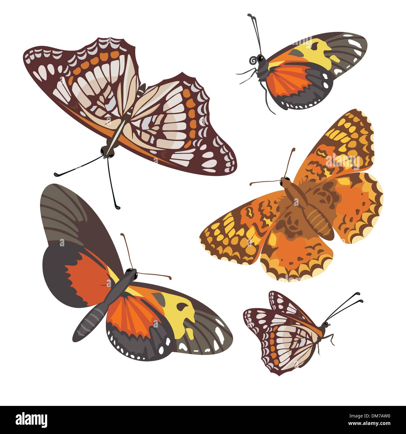 Different vector color butterflies Cut Out Stock Images & Pictures - Alamy