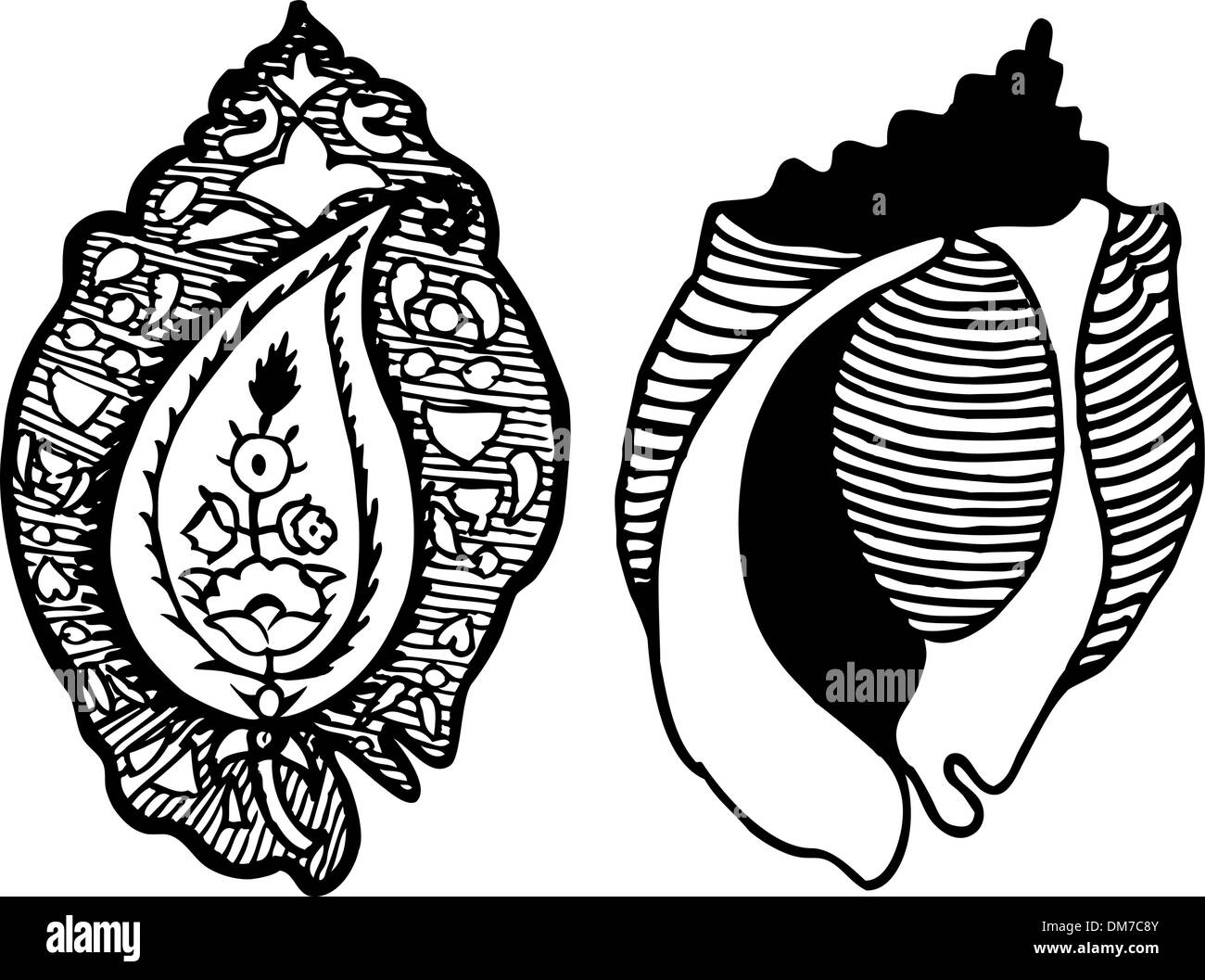 Cockleshells hi-res stock photography and images - Alamy