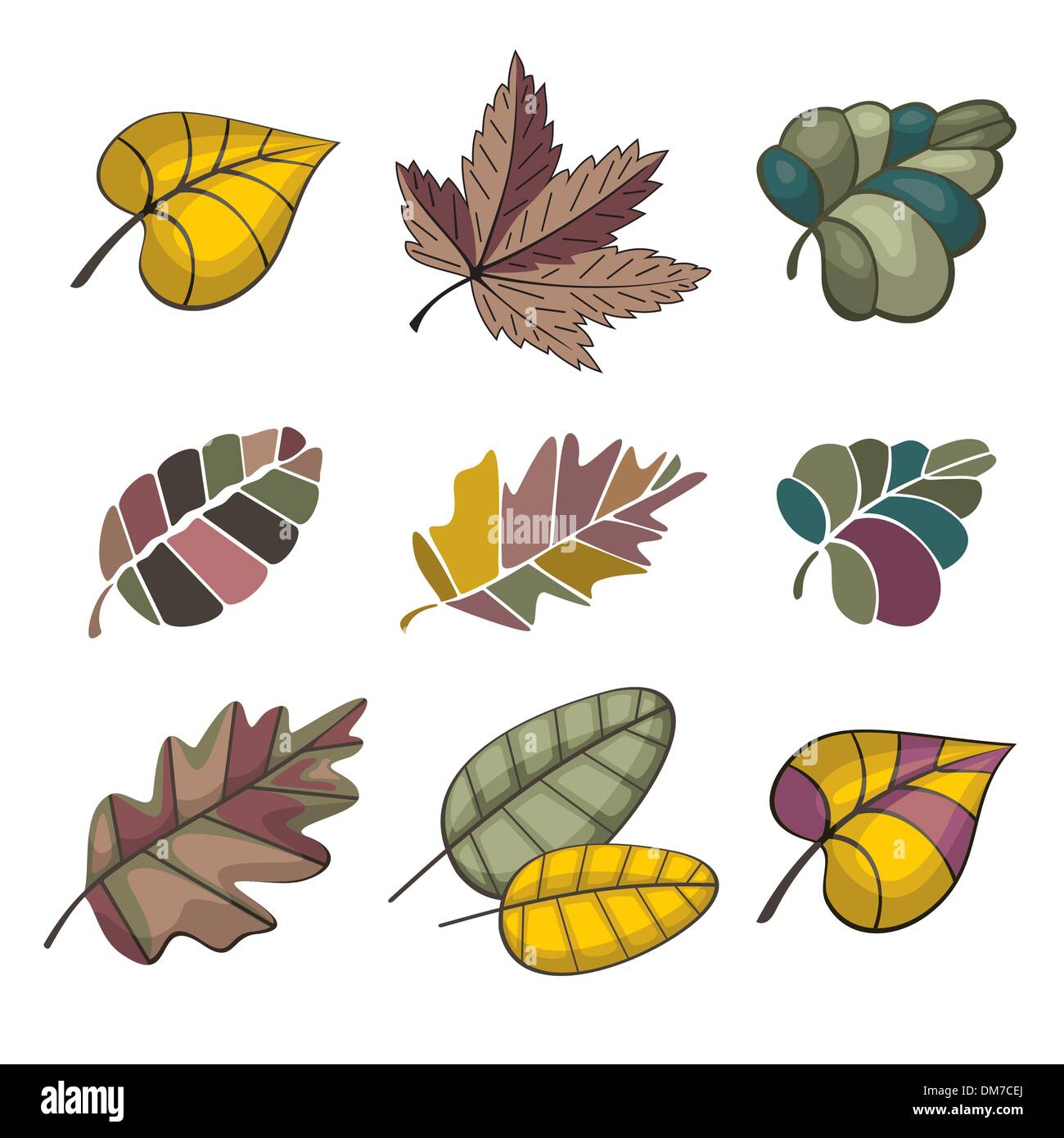 Autumn painted tree leaves Cut Out Stock Images & Pictures - Alamy