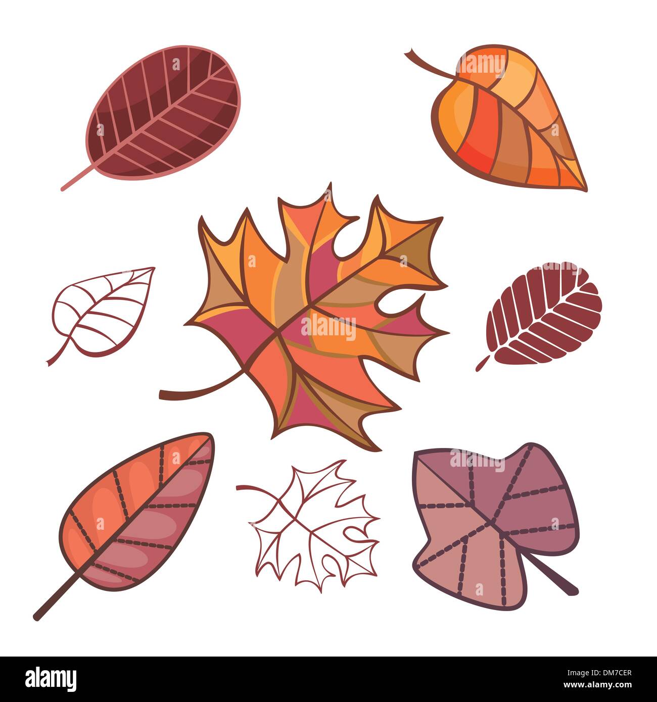 Set oak autumn leaves Cut Out Stock Images & Pictures - Alamy
