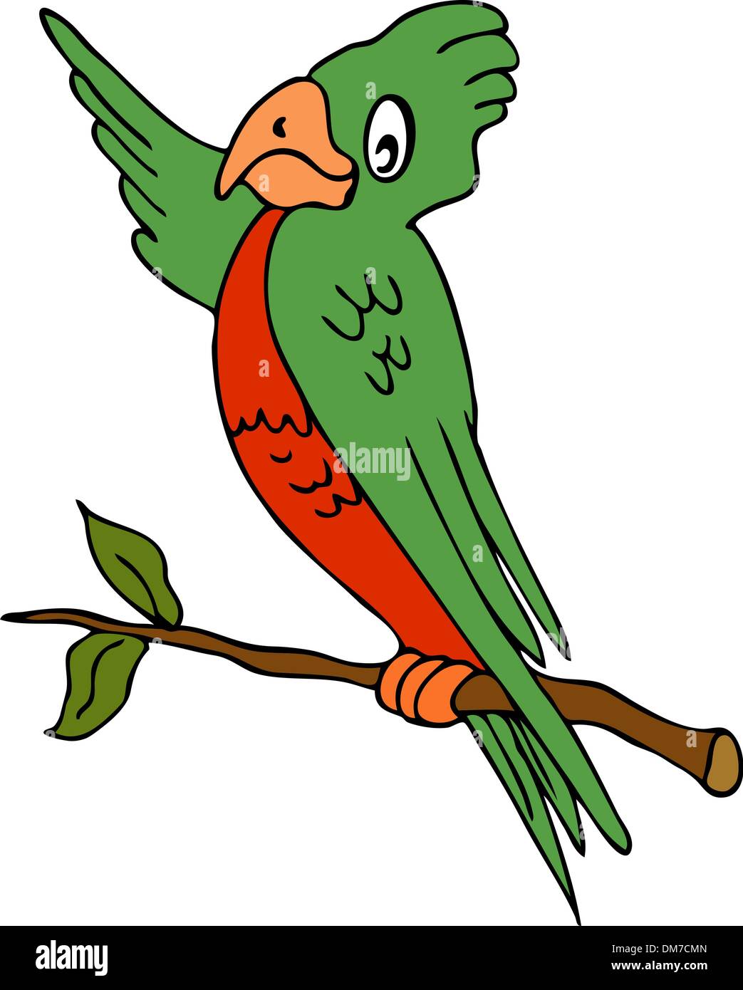 Cartoon green parrot bird pointing hi-res stock photography and images ...