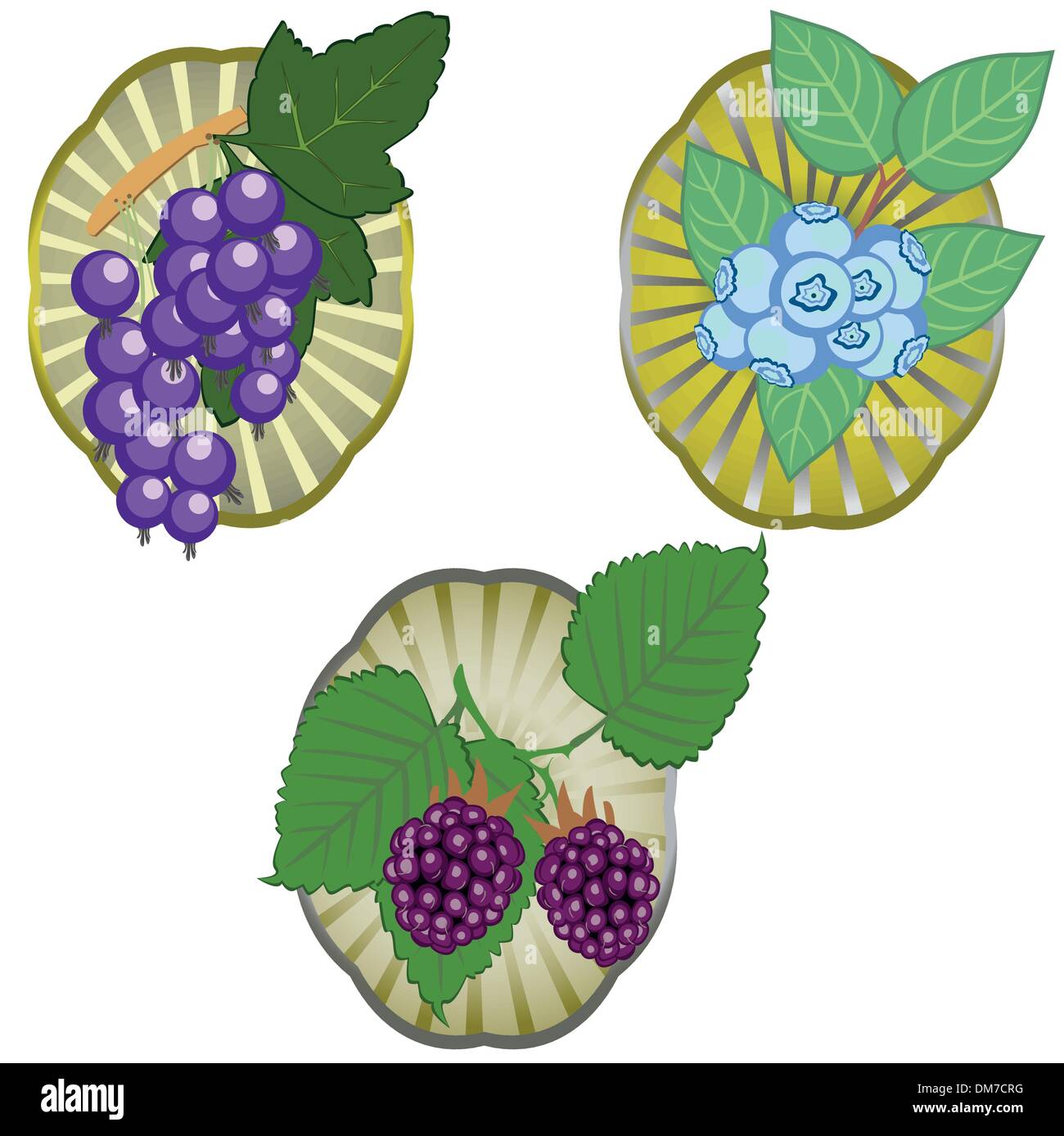 Dark blue fruit Stock Vector Images - Alamy