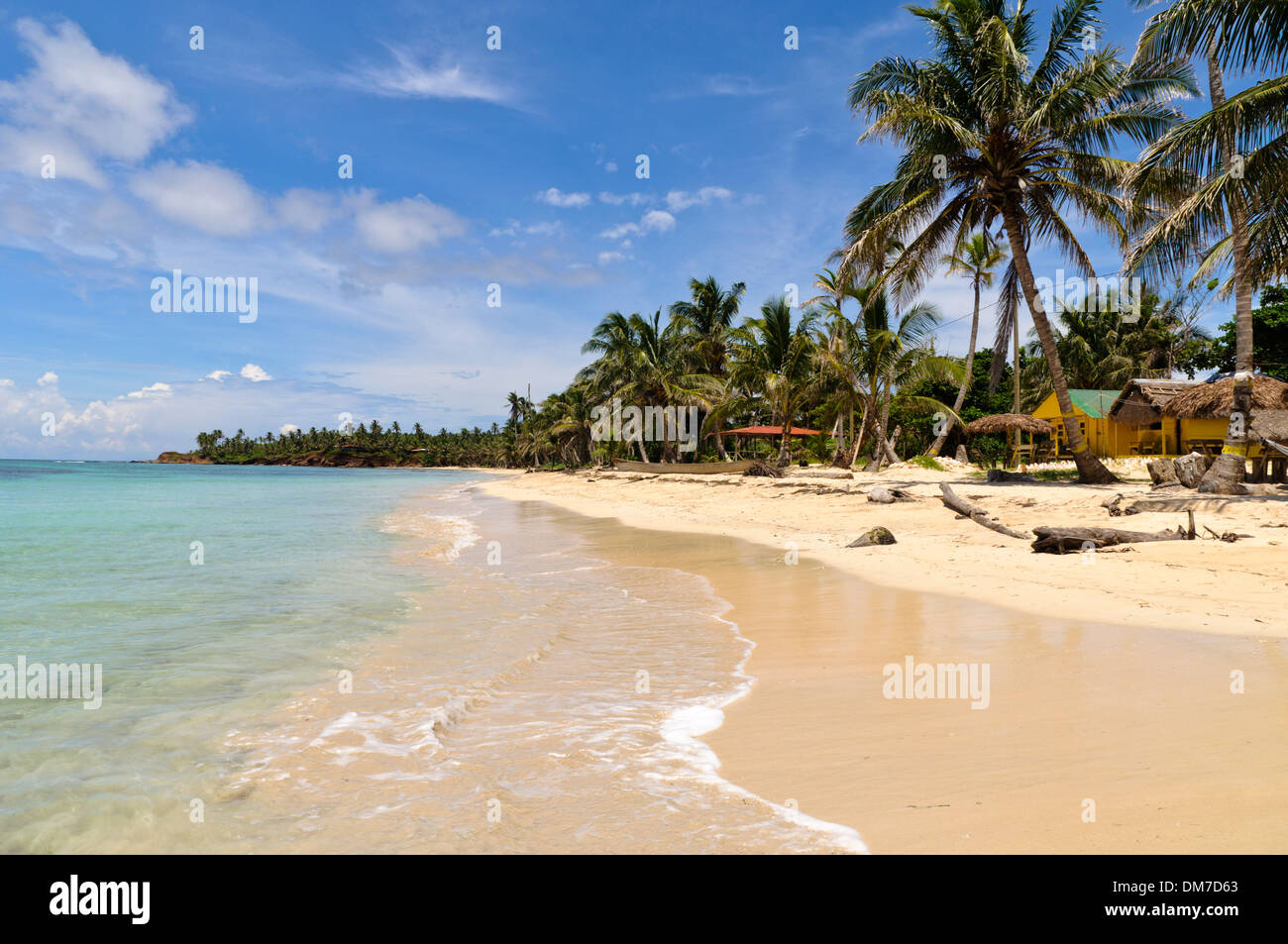 Caribbean Shoreline Little Corn Island Nicaragua Central America