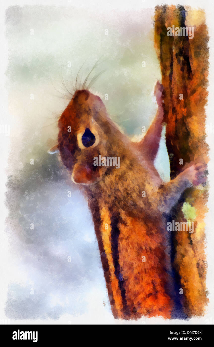 Genus tamias hi-res stock photography and images - Alamy
