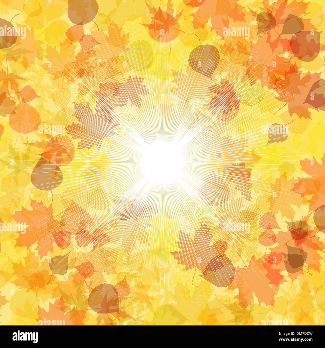 Golden colors autumn leaves Stock Vector Images - Alamy