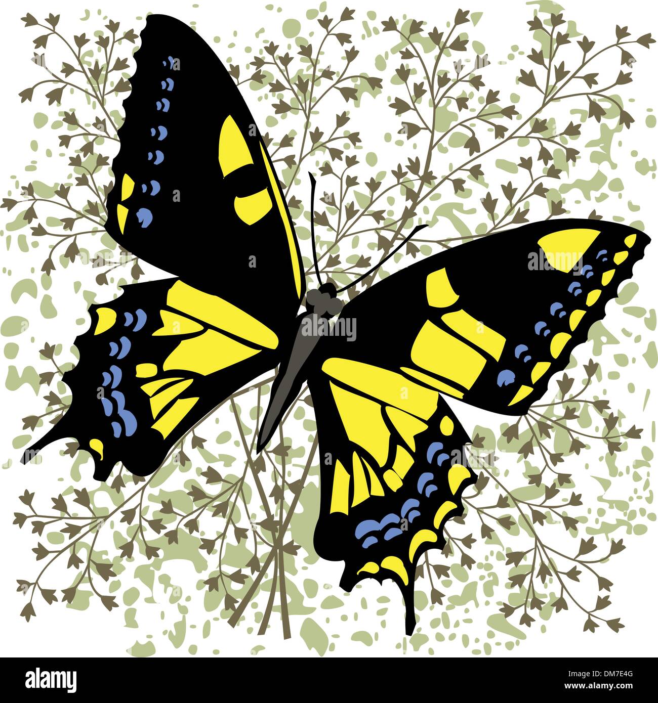 Illustration butterfly Stock Vector Images - Alamy