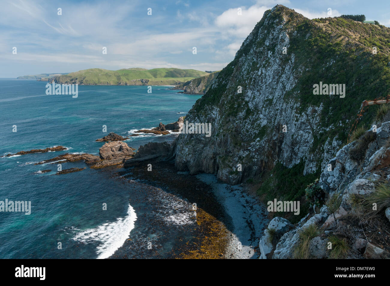 Roaring Bay, Nugget Point, Catlins Coast, South Otago, South Island ...