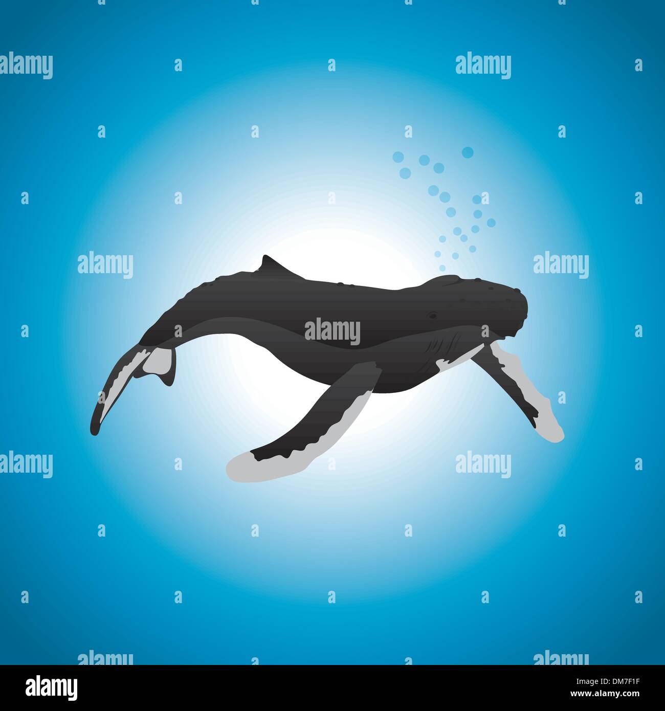 Whale in blue sea Stock Vector Images - Alamy