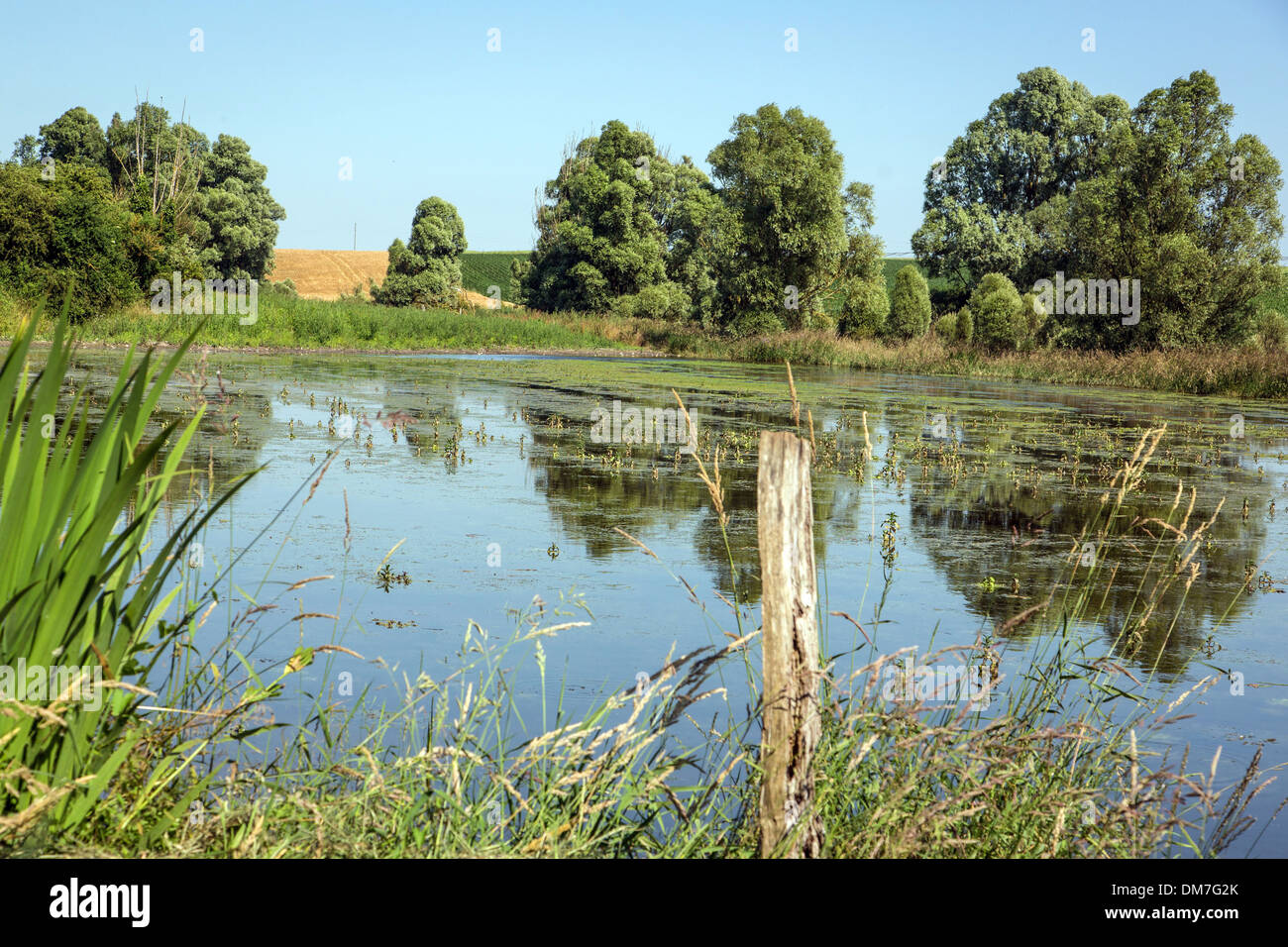 Phreatic table hi-res stock photography and images - Alamy