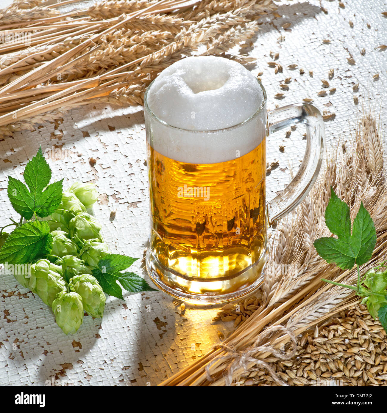 beer and raw material for beer production Stock Photo - Alamy
