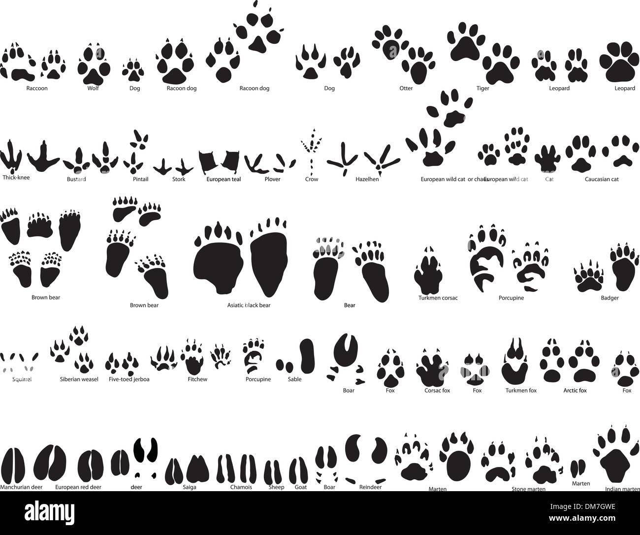 Hound trails Stock Vector Images - Alamy