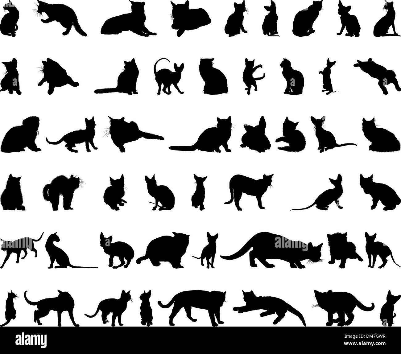 Cats silhouettes hi-res stock photography and images - Alamy
