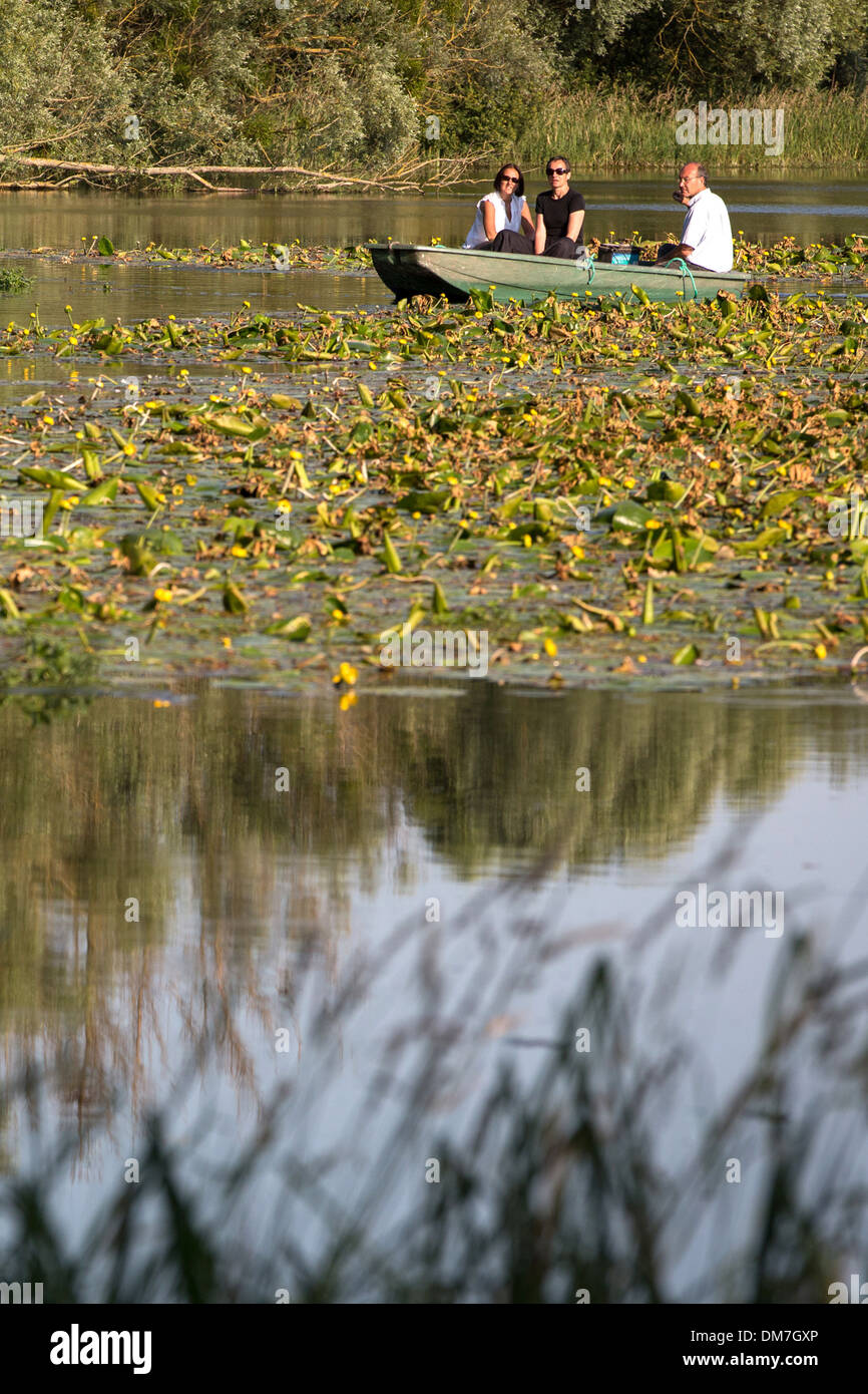 Goure hi-res stock photography and images - Alamy