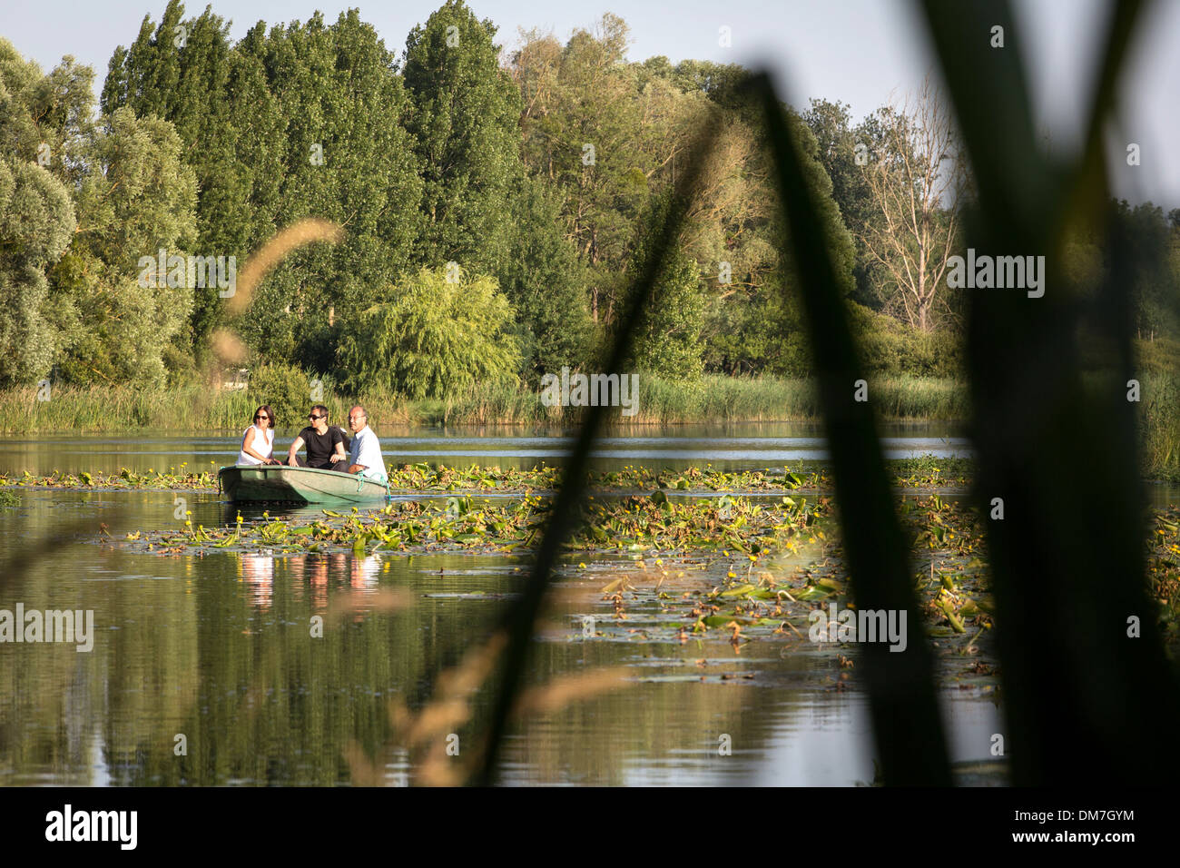 Goure hi-res stock photography and images - Alamy
