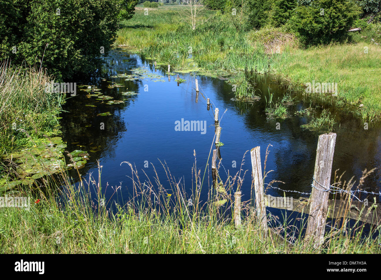 Conie hi-res stock photography and images - Alamy
