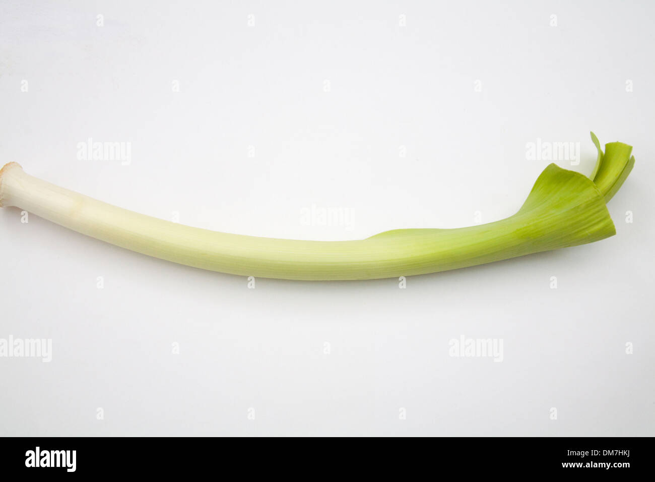 Close up single Welsh leek on white background Stock Photo - Alamy