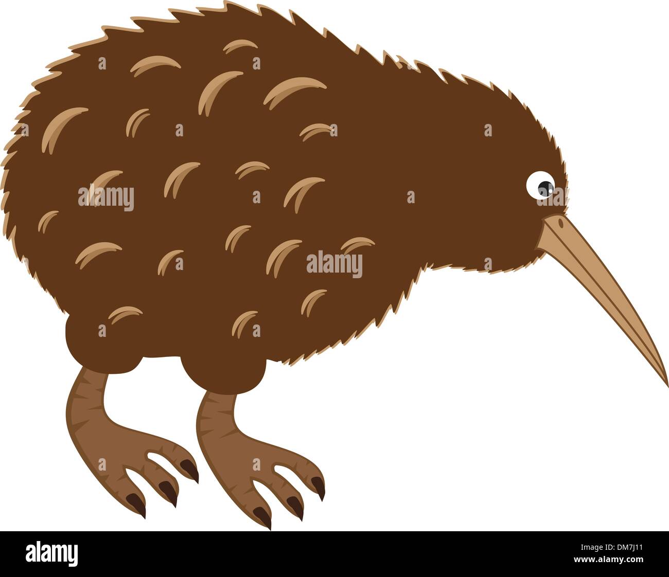 Kiwi new zealand Stock Vector Images - Alamy