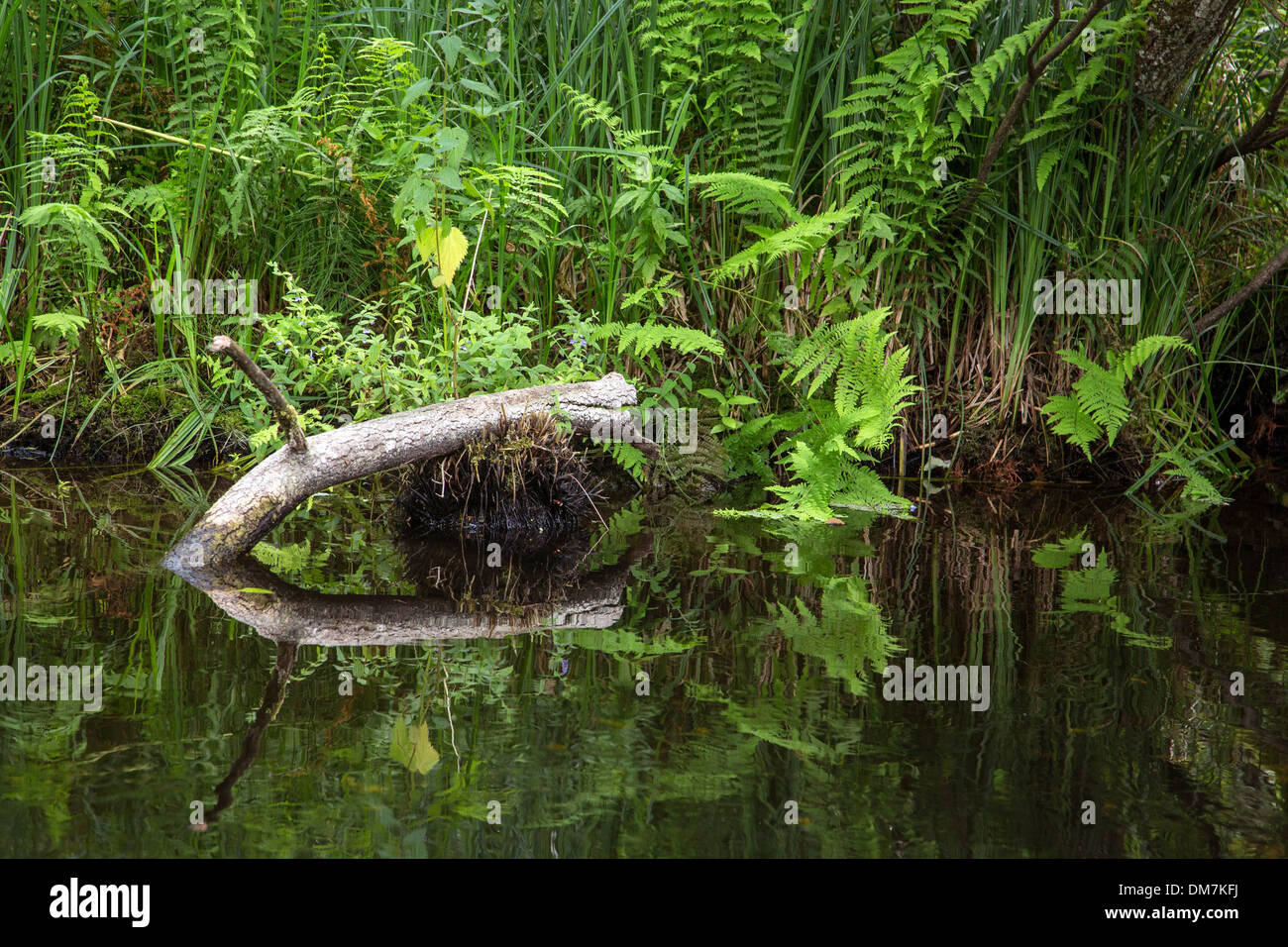 Phreatic table hi-res stock photography and images - Alamy