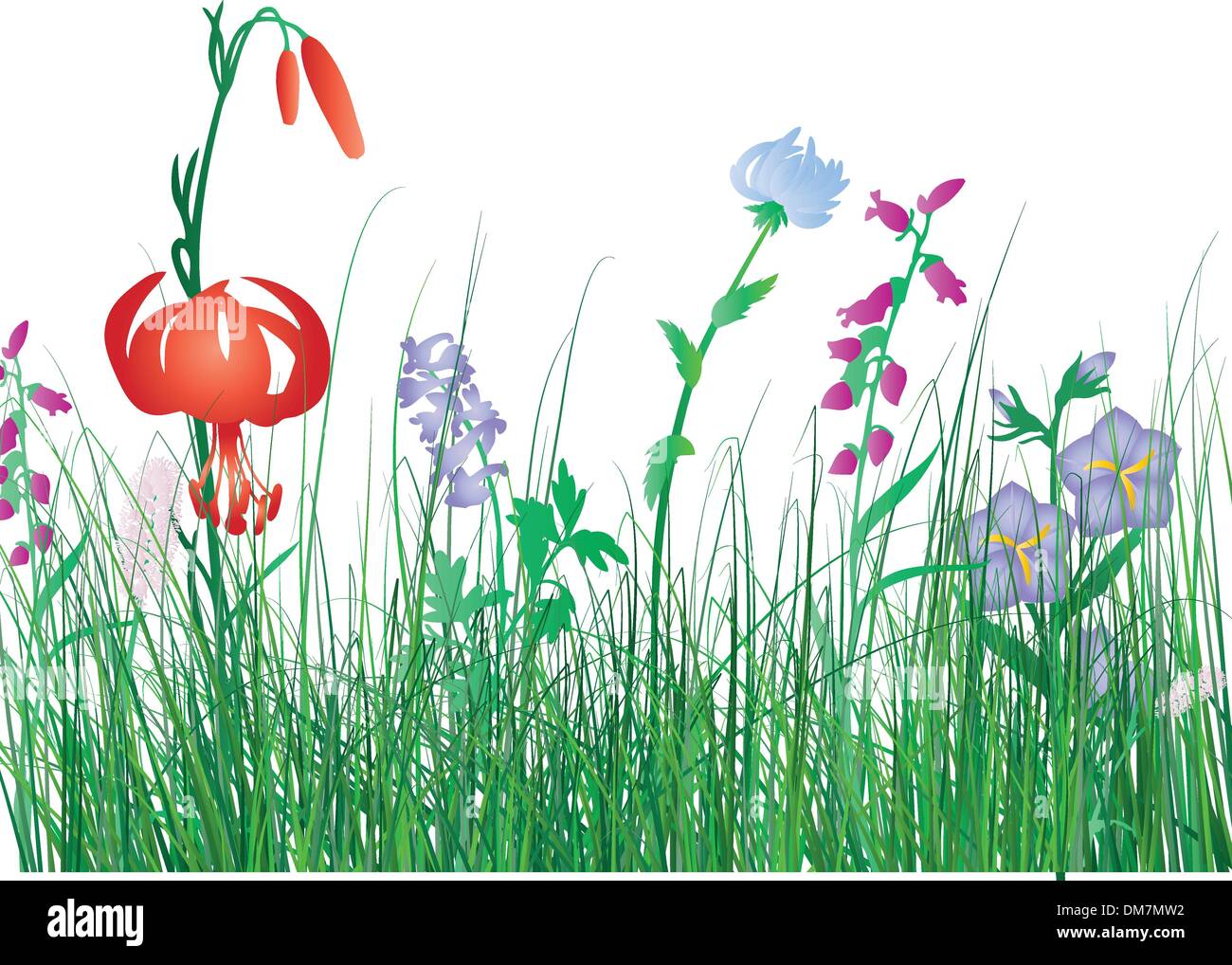 Colorful flower bed Stock Vector Images - Alamy