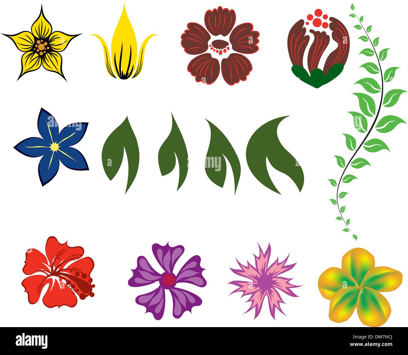 Painted flower border Cut Out Stock Images & Pictures - Alamy