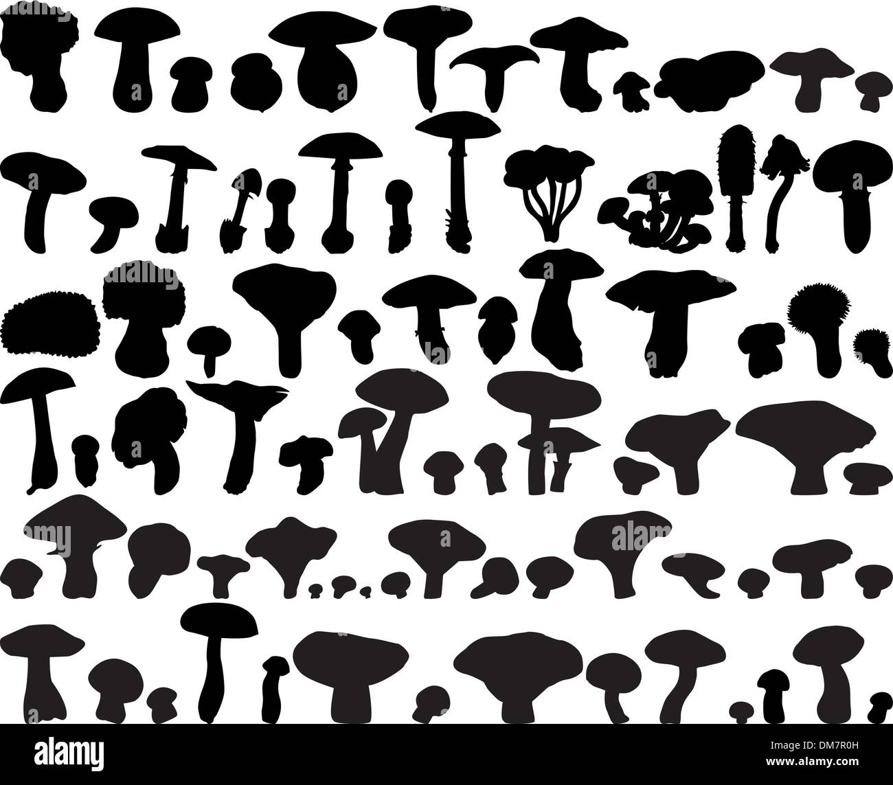Terrestrial fungus Stock Vector Images - Alamy