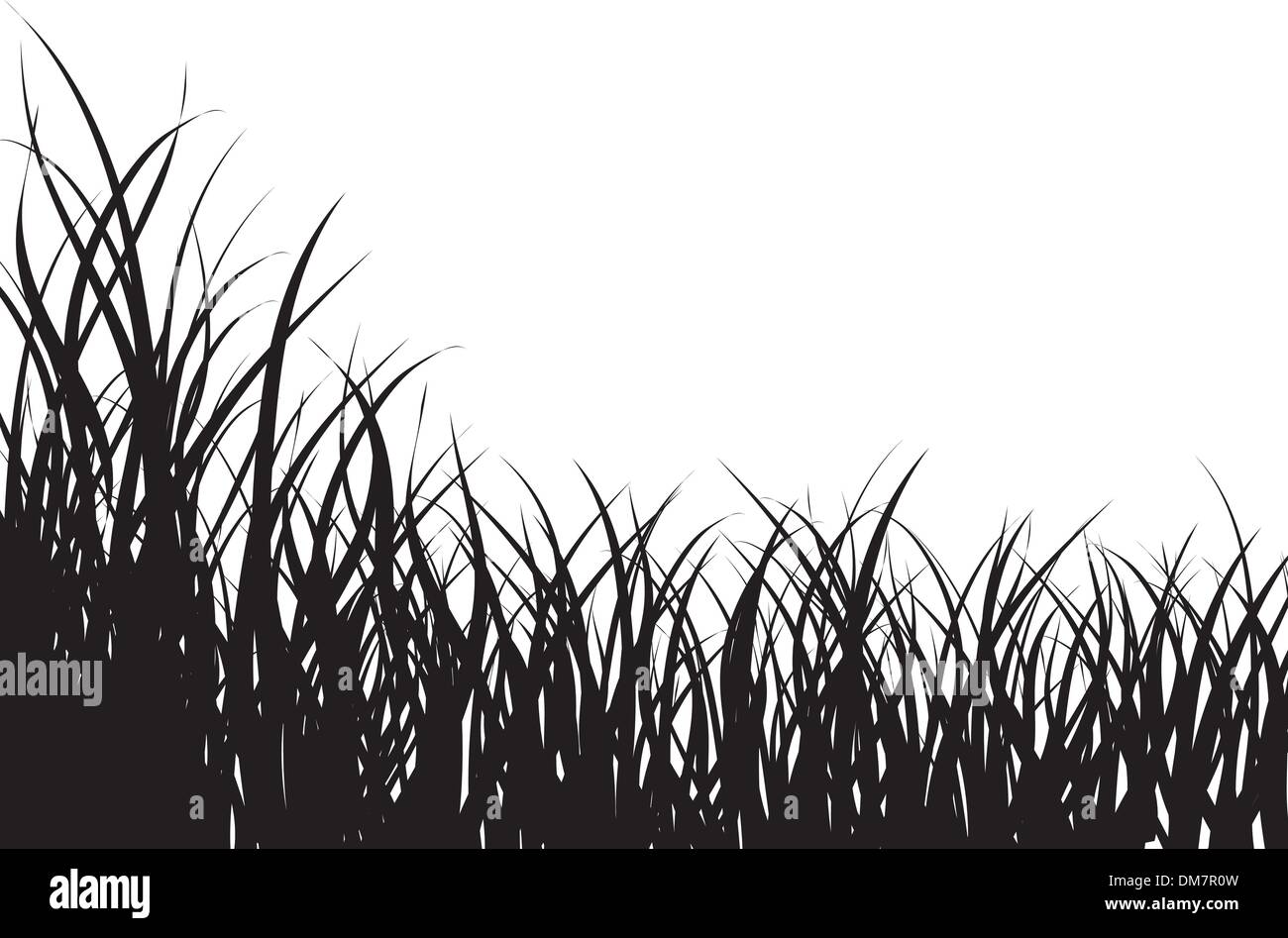 Silhouette of grass Stock Vector Images - Alamy