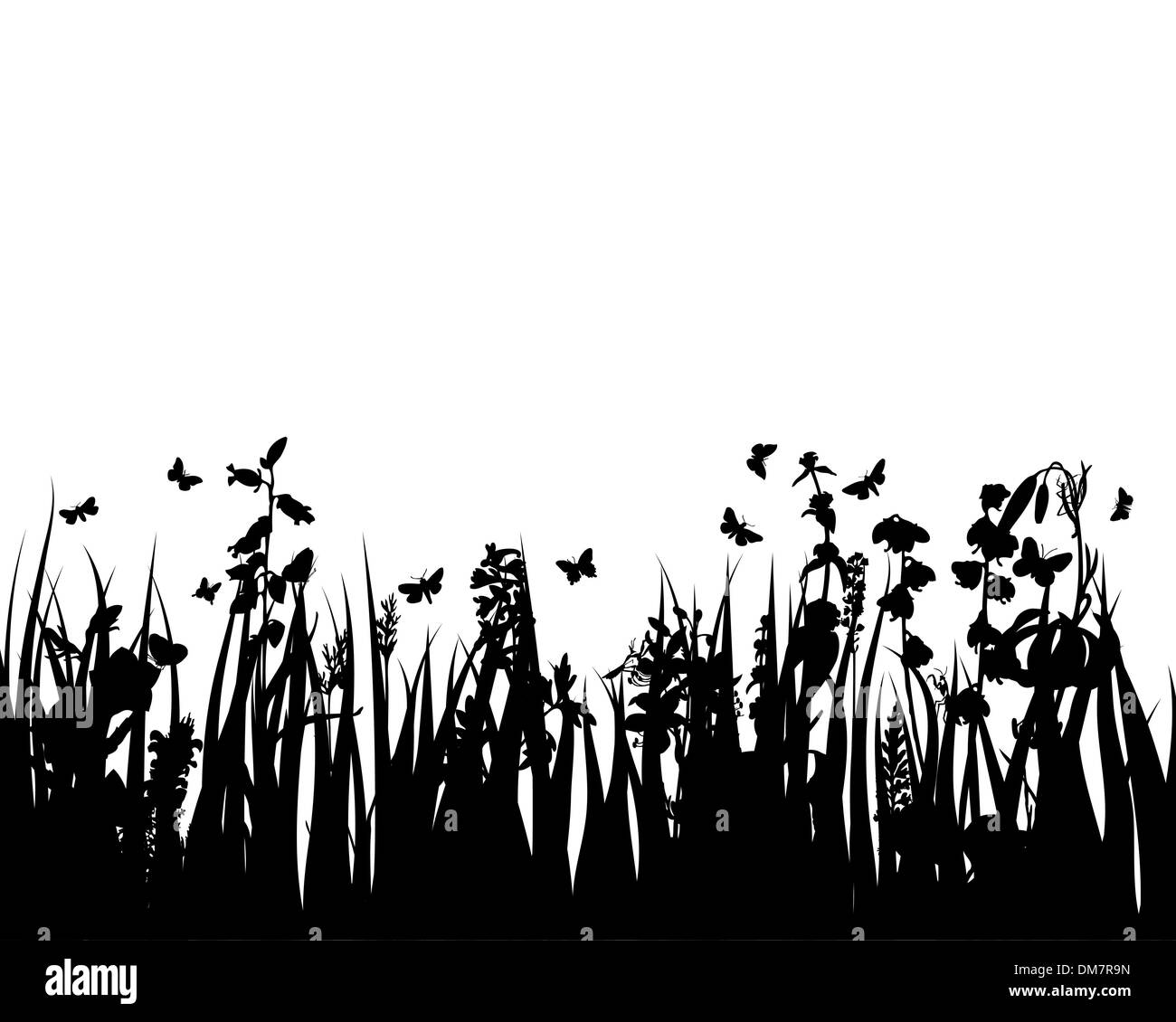 Grass meadow border vector Black and White Stock Photos & Images - Alamy