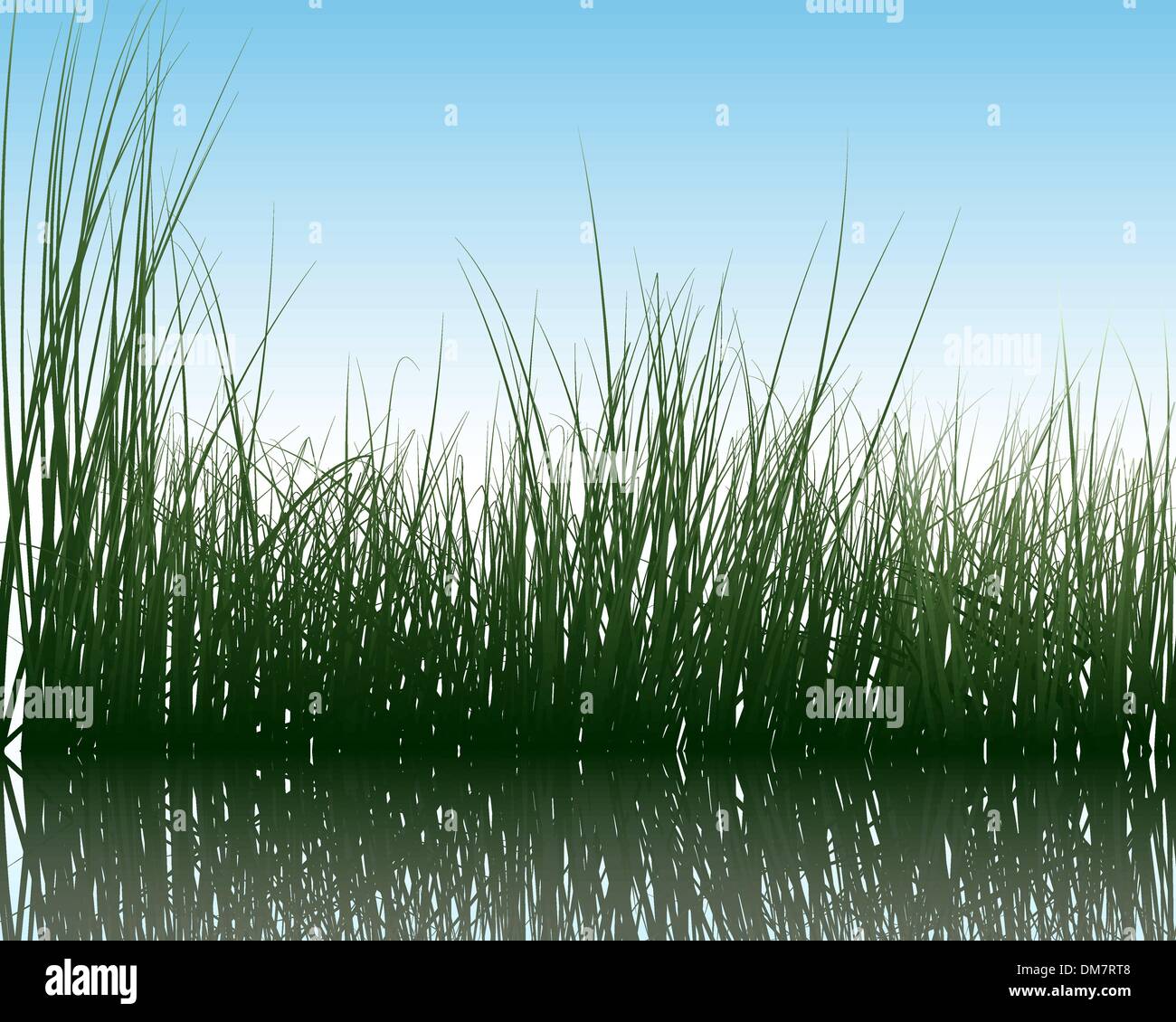 grass on water Stock Vector Image & Art - Alamy