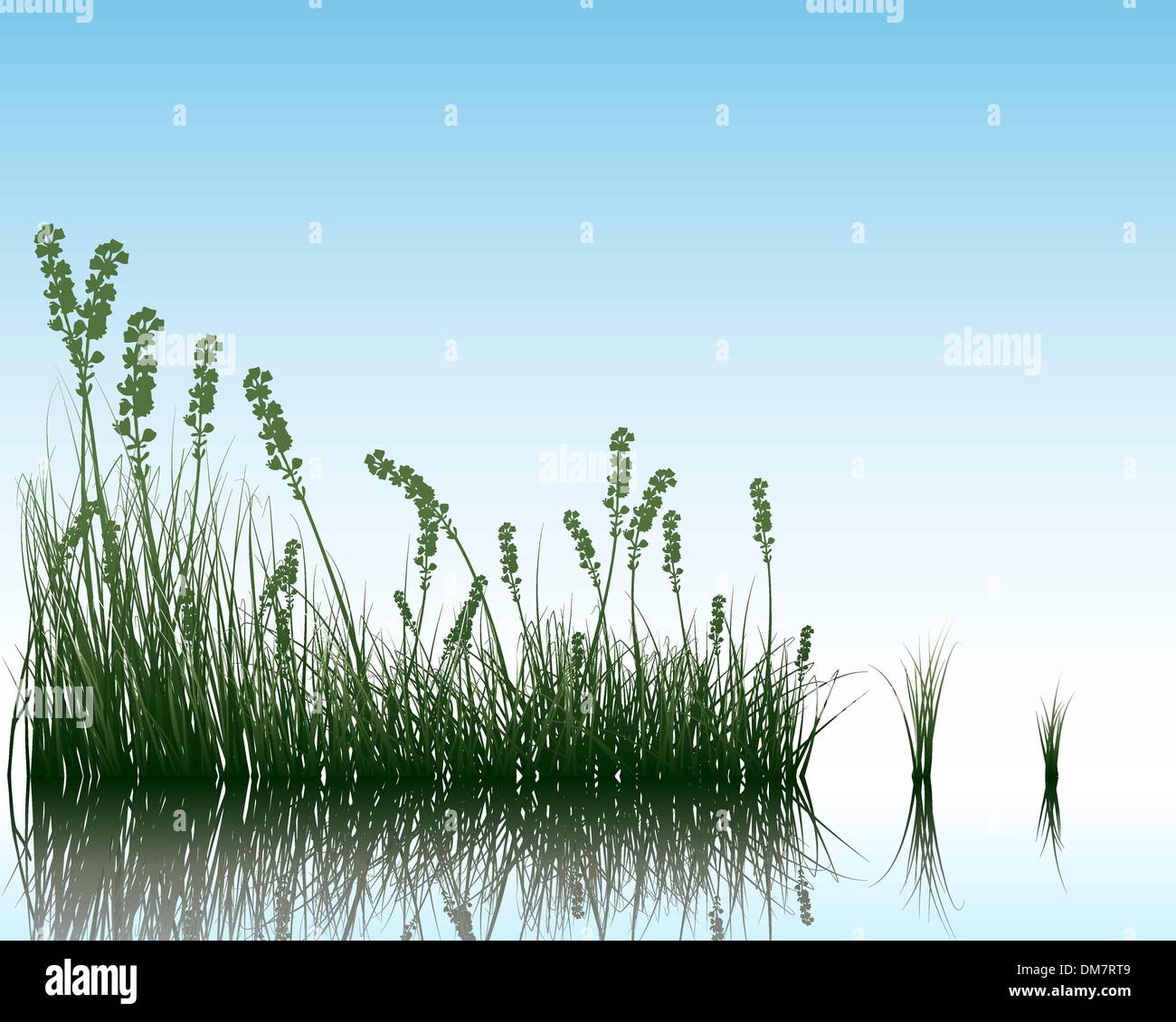 grass on water Stock Vector Image & Art - Alamy