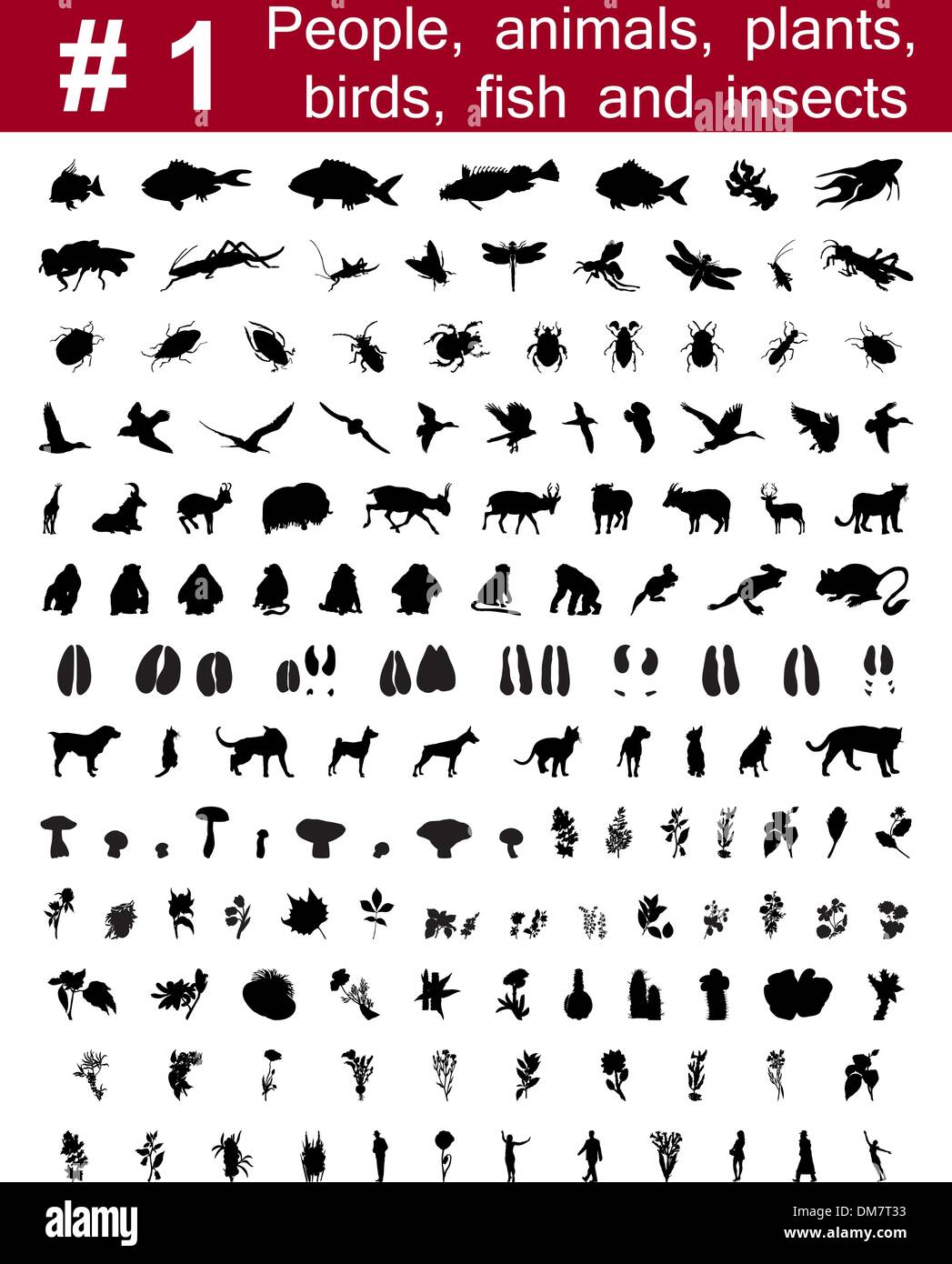 vector silhouettes set. Set # 1 Stock Vector Image & Art - Alamy