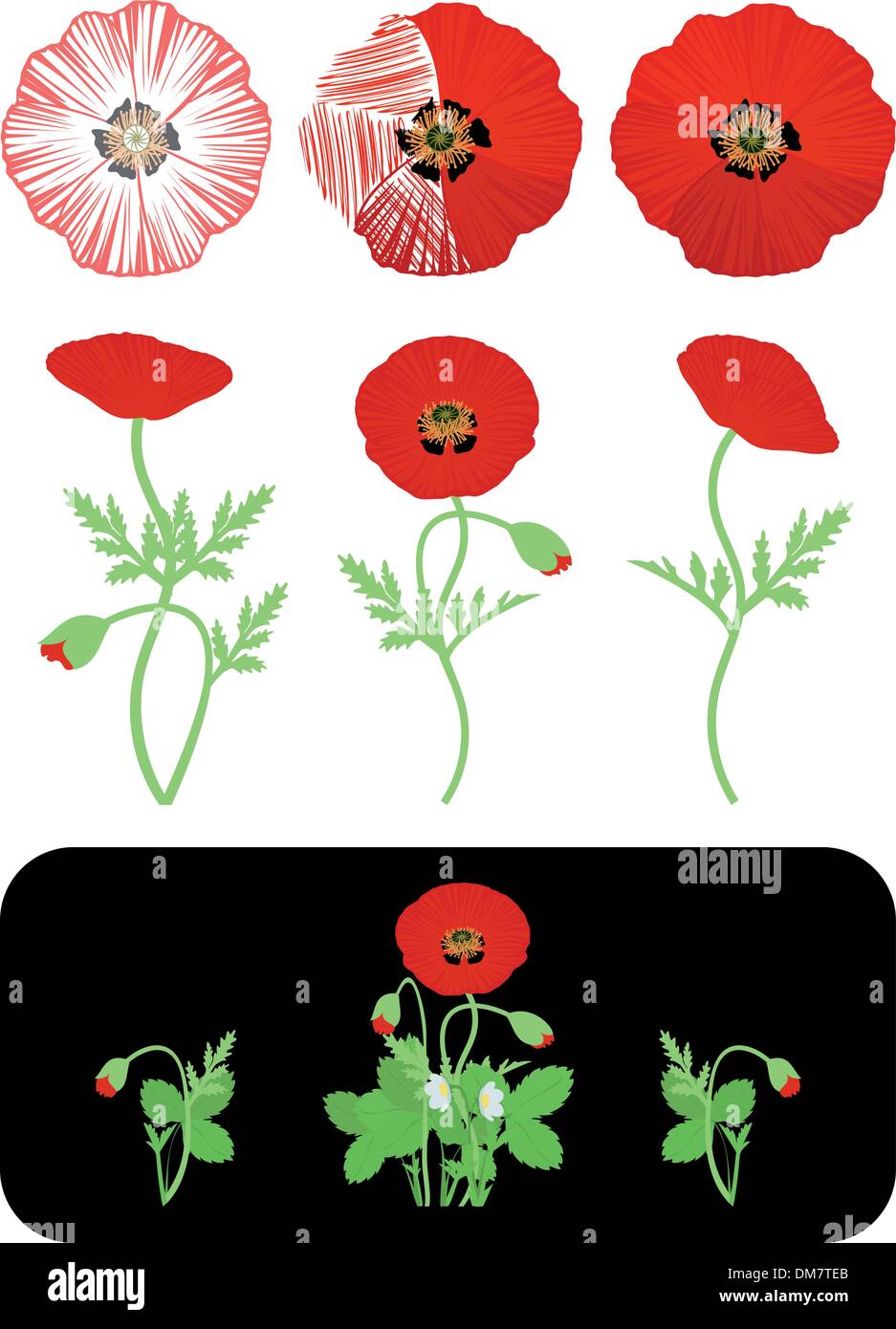 Small poppy Stock Vector Images - Alamy