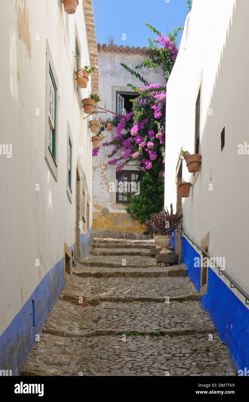 Alley in medieval obidos hi-res stock photography and images - Alamy