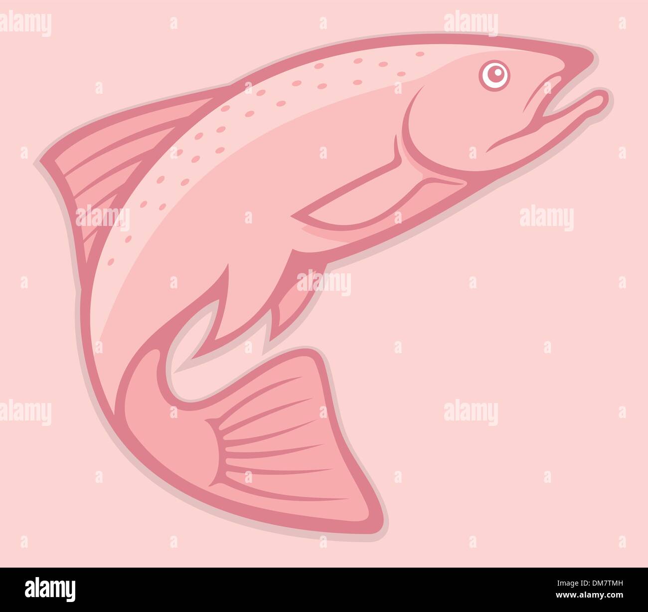 Salmon vector vectors hi-res stock photography and images - Alamy