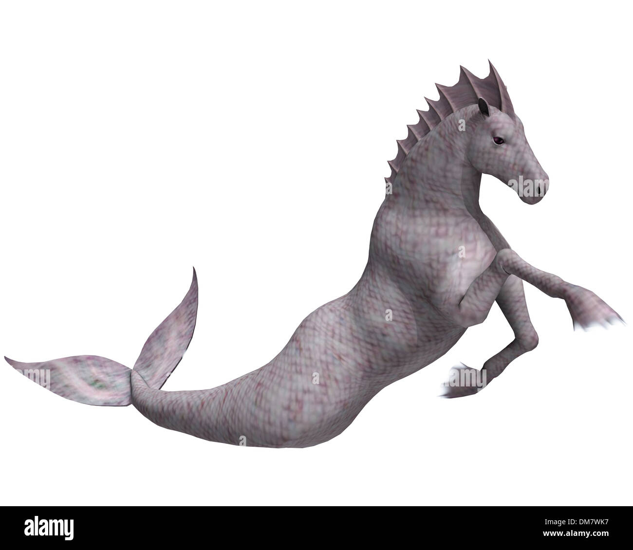 3D digital render of Hippocampus (Mermaid's Horse) isolated on white ...