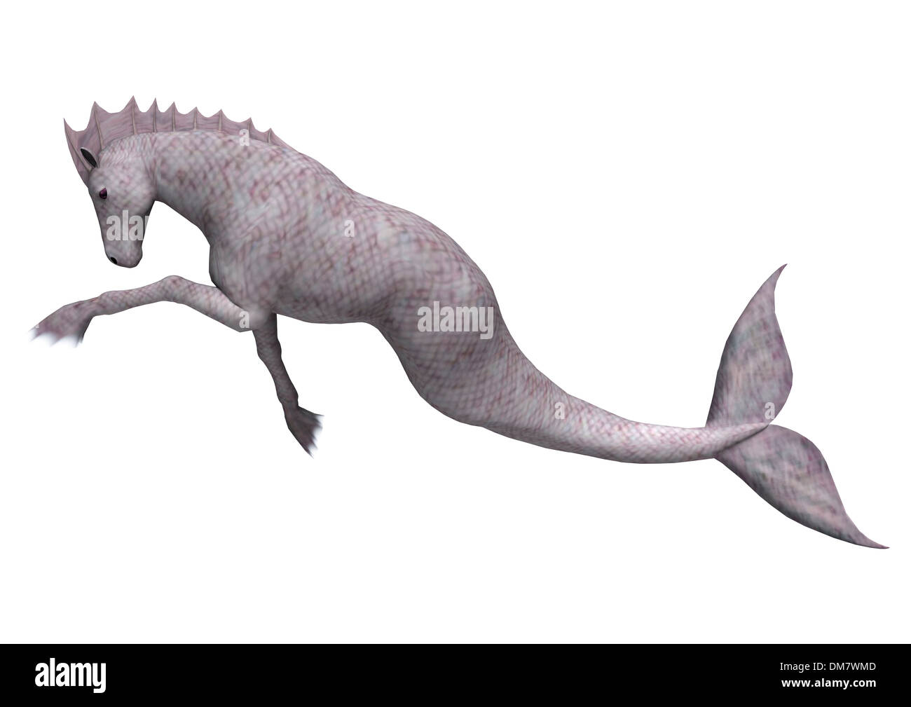 3D digital render of Hippocampus (Mermaid's Horse) isolated on white ...