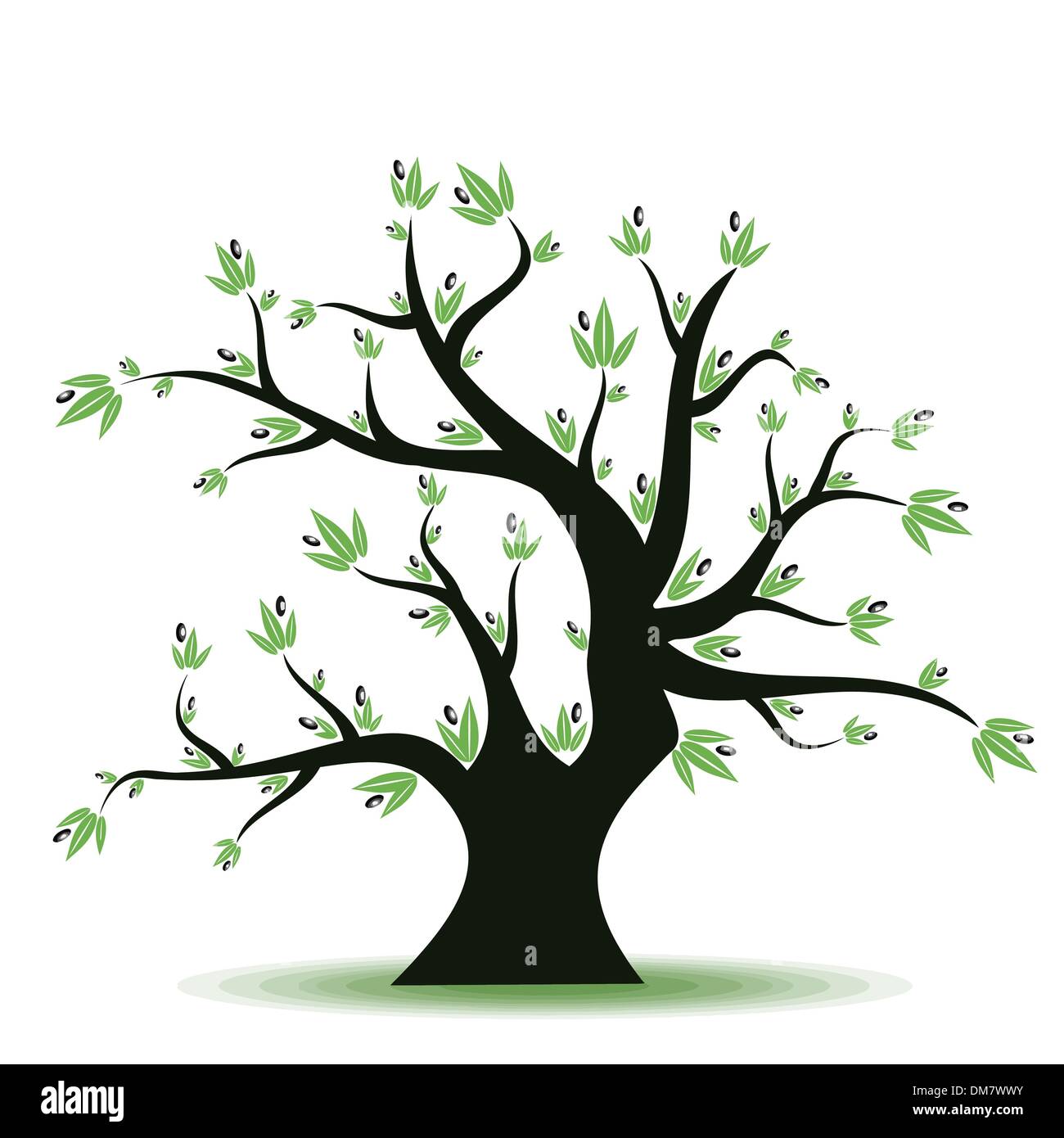 Olive branch on tree Stock Vector Images - Alamy