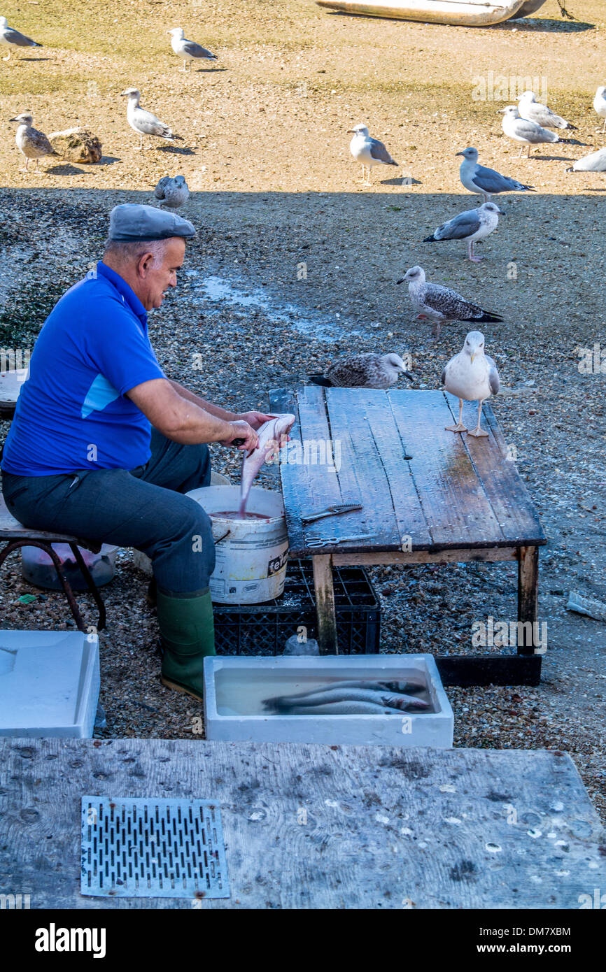 Skinning fish hi-res stock photography and images - Alamy
