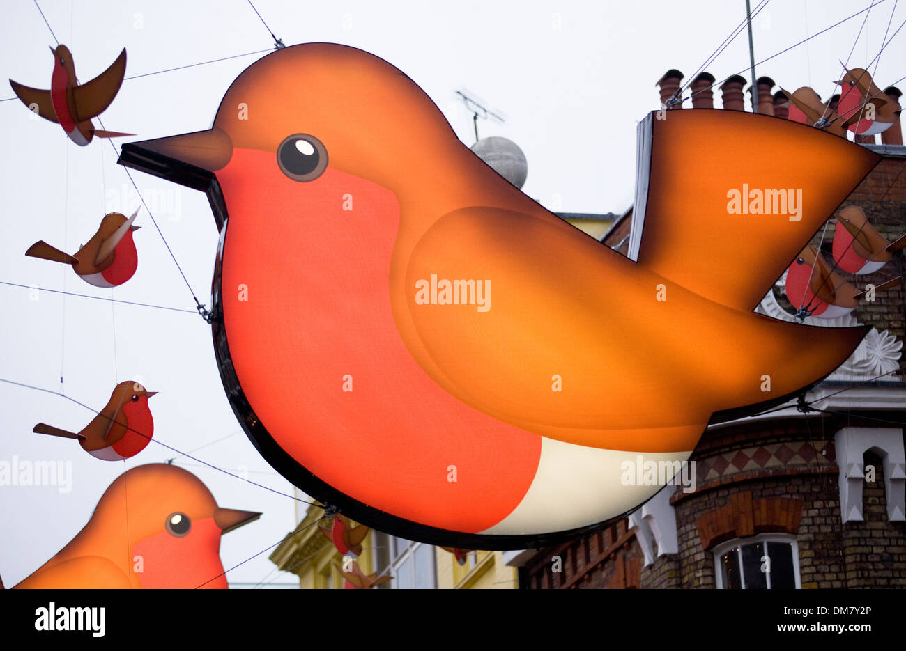 Robin street lighting hi-res stock photography and images - Alamy