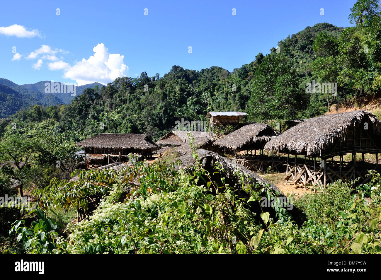 India, Arunachal Pradesh, Along valley, Garu village, landscape Stock ...