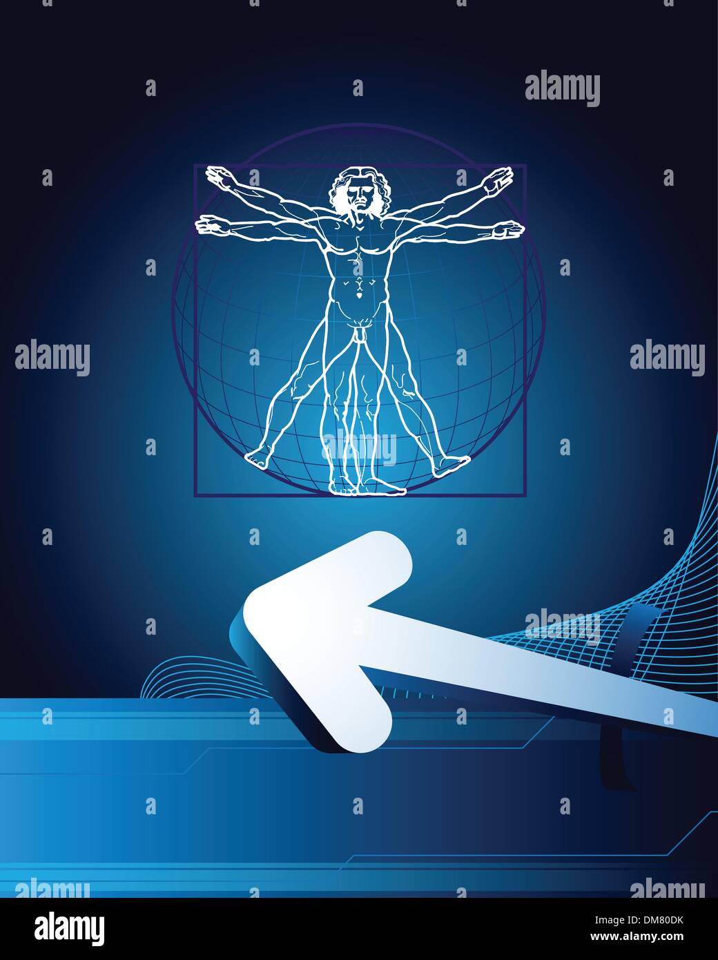 Leonardo's Vitruvian Man (vector Stock Vector Image & Art - Alamy
