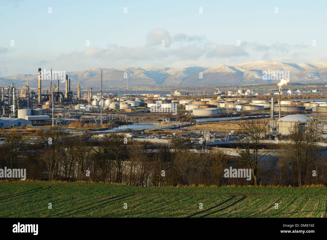 The oil refinery complex at Grangemouth Scotland UK Stock Photo - Alamy