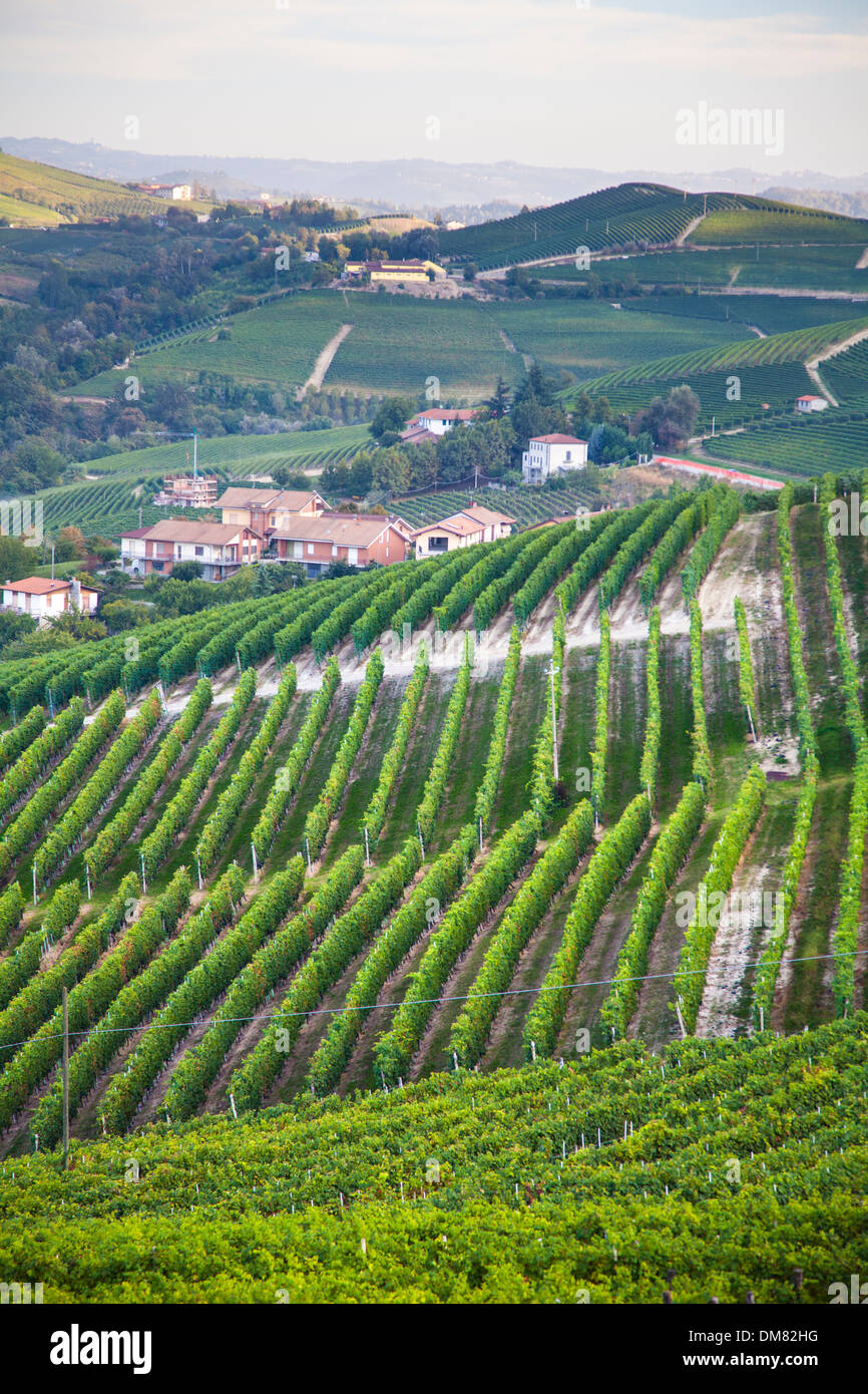 Langhe italy barolo hi-res stock photography and images - Alamy
