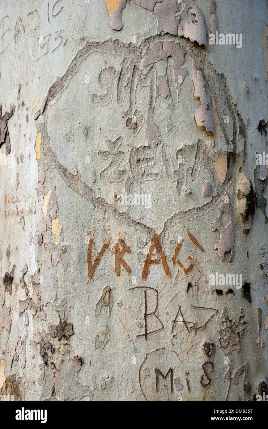 Heart shape with writing text on bark of tree, texture background Stock ...