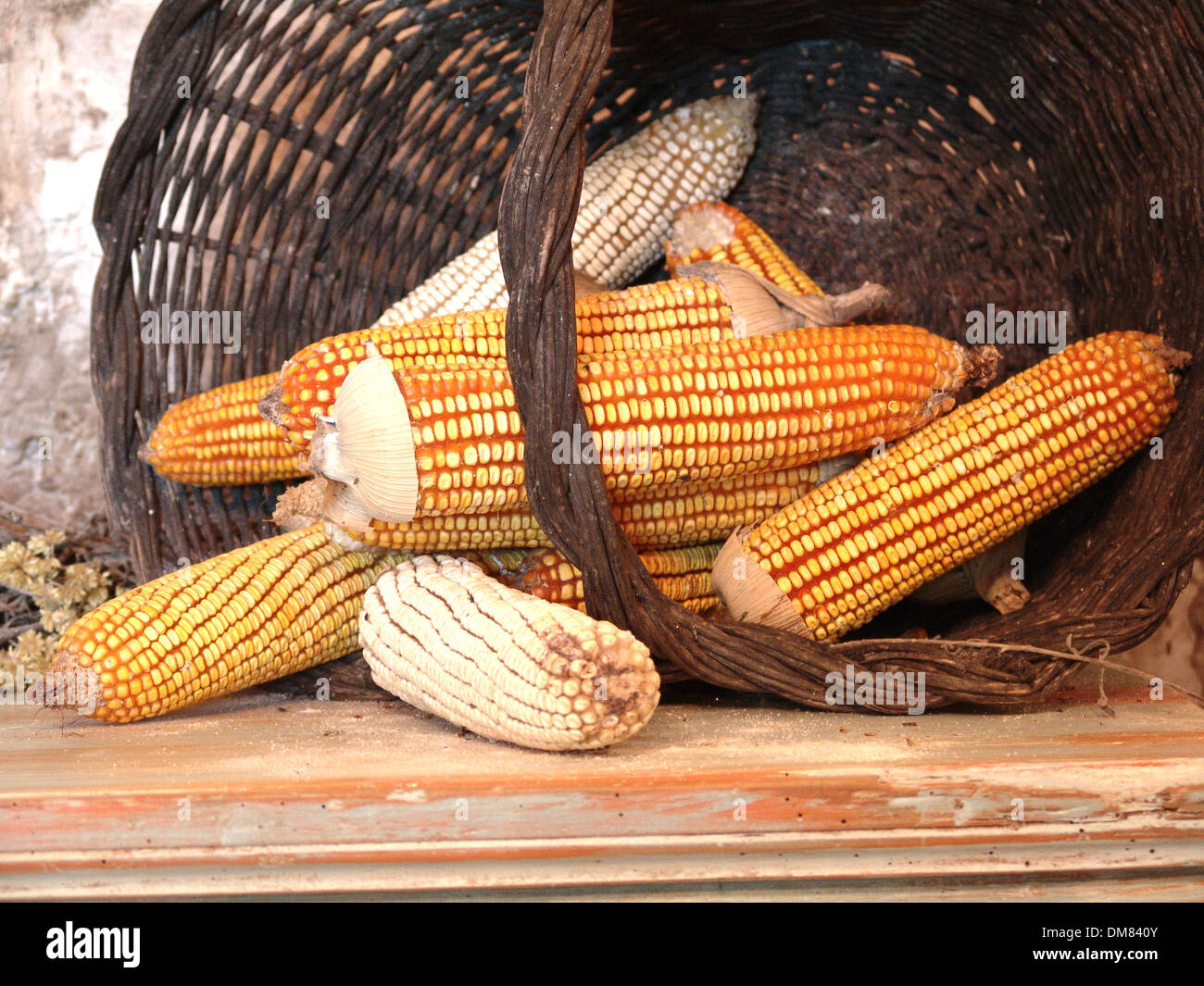 corn spikes inside straw wicker basket Stock Photo - Alamy