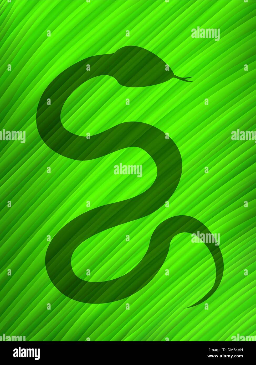 Snake plant illustration Stock Vector Images - Alamy