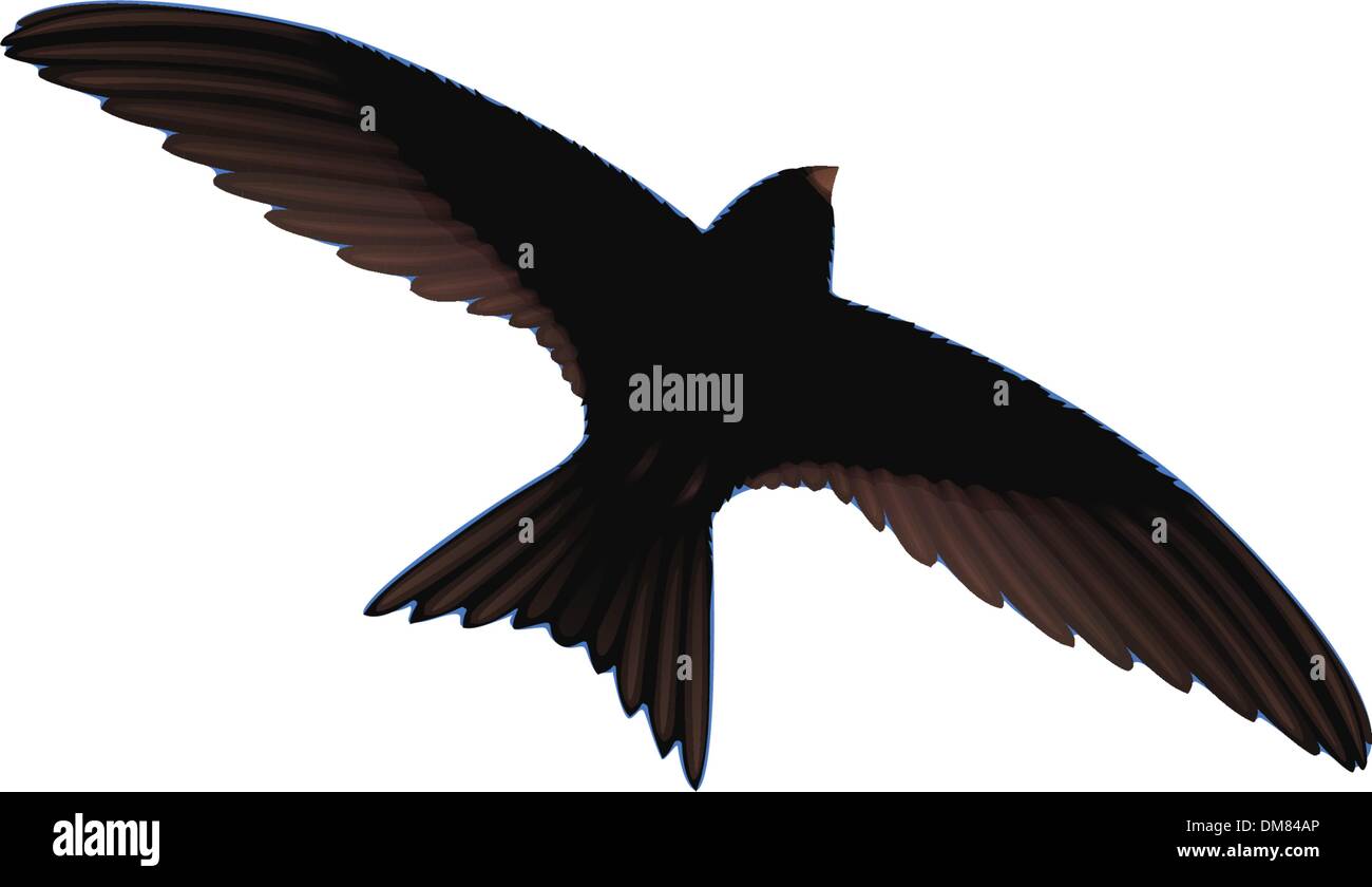 Beautiful natural view little Stock Vector Images - Alamy