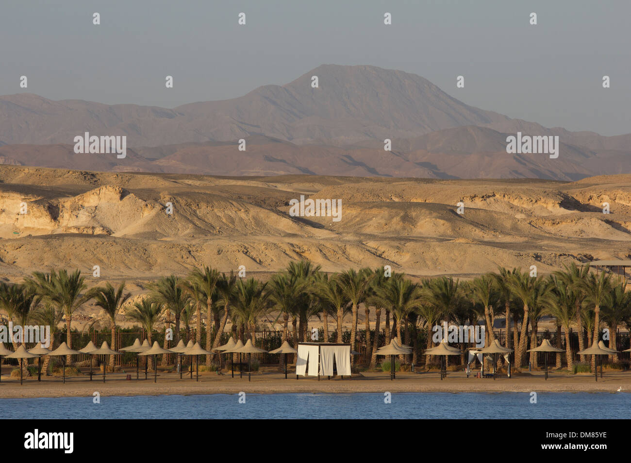 Pebble Desert High Resolution Stock Photography and Images - Alamy