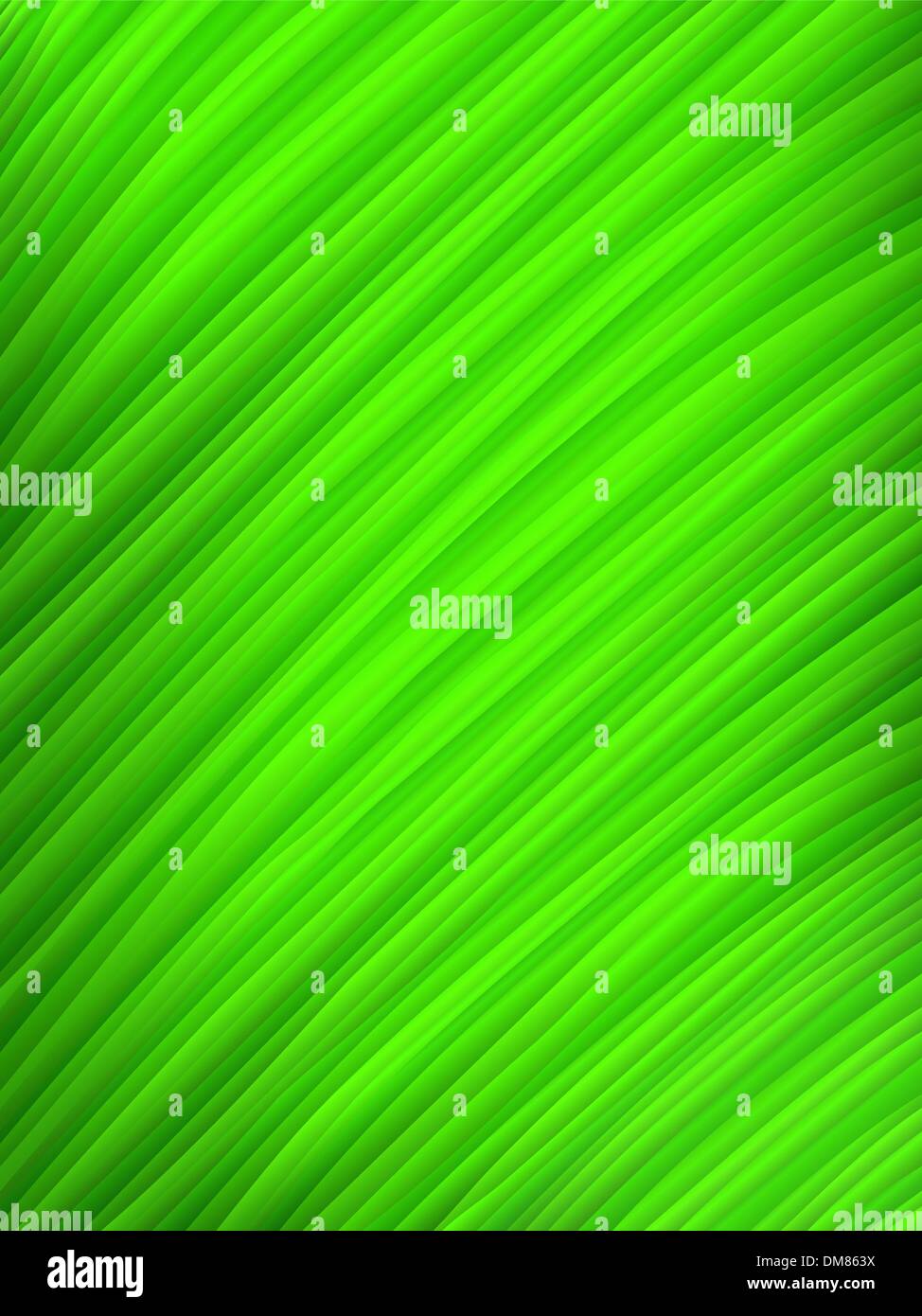 Close up macro tree Stock Vector Images - Alamy