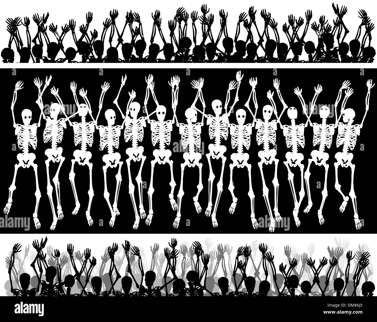Human skeleton illustration dancing Black and White Stock Photos ...