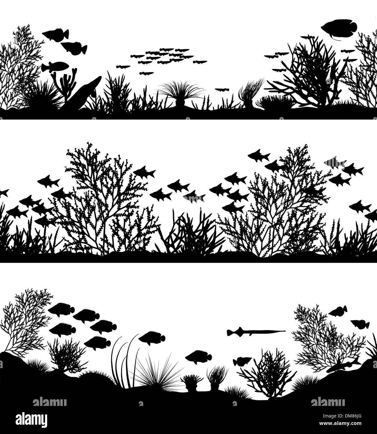 Coral diversity Stock Vector Images - Alamy